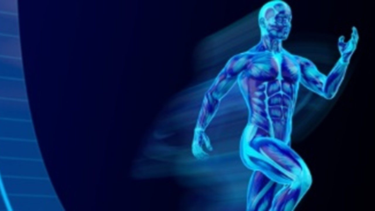 NAMIC - New 3D-Printing Technique Could Fabricate Bio-Compatible ...